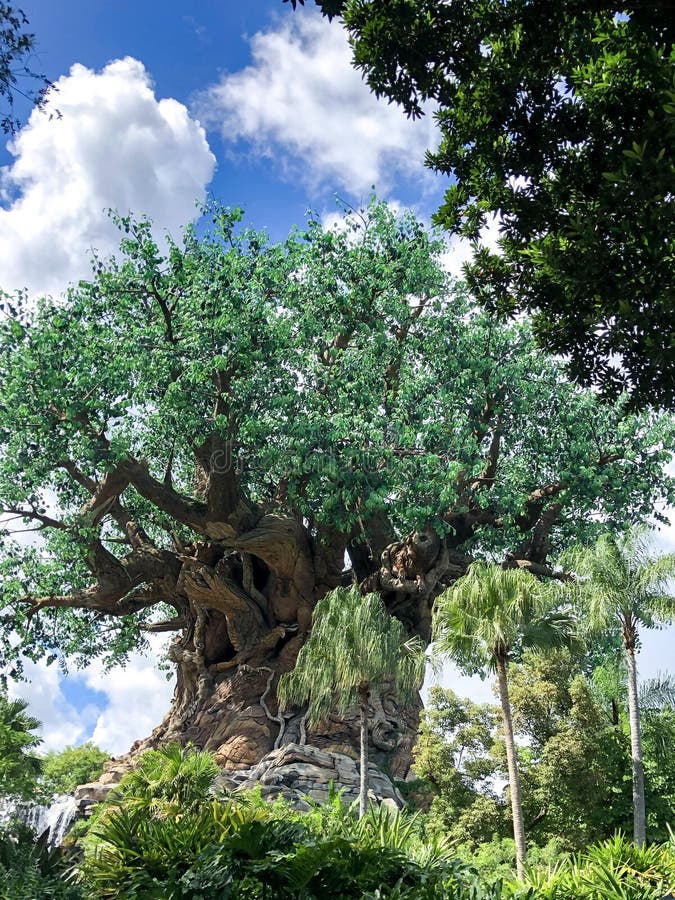 Green Life Tree in Sunny Day Stock Photo - Image of green, life: 192503436