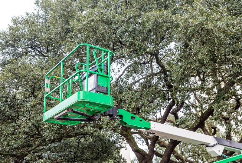 Green Lift by Green Tree stock photo. Image of hoist - 65600276