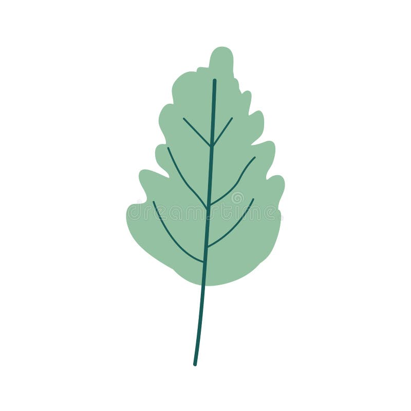 Green Light Color of Wavy Leaf Plant Stock Vector - Illustration of ...