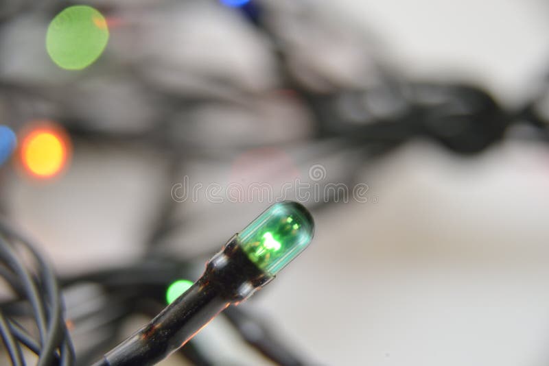 Green Deode Stock Photos - Free & Royalty-Free Stock Photos from Dreamstime