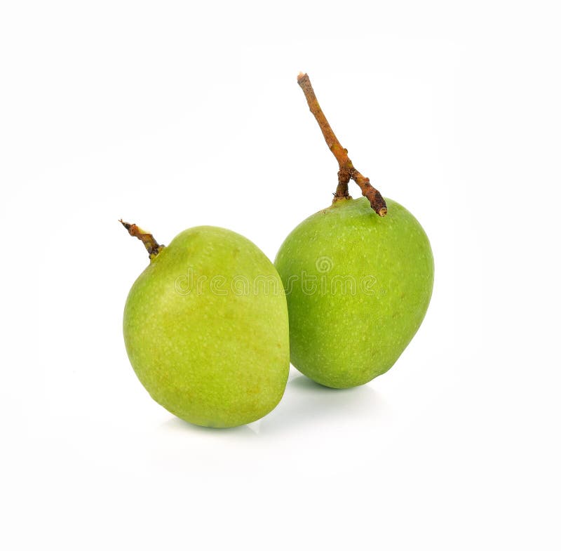 Green Light Mango on White Background Stock Photo - Image of tree ...