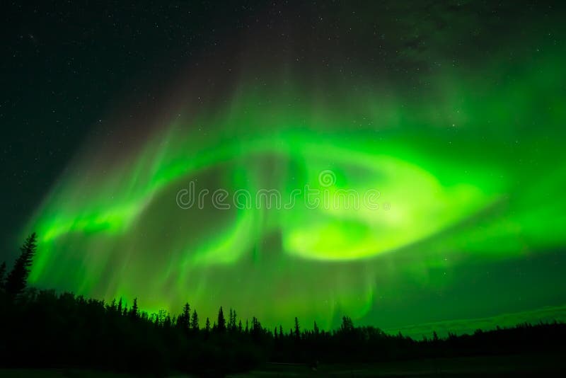 Green Lights stock photo. Image of night, borealis, autumn - 60880686
