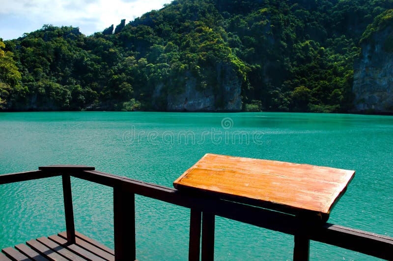 Green like stock image. Image of ngan, nature, barracuda - 11362615