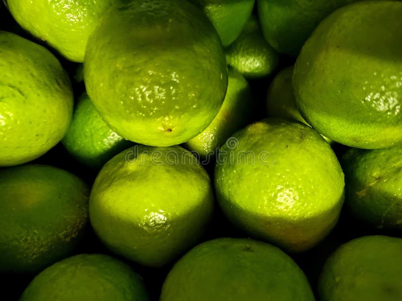 Green lime, summer fruits stock image. Image of lemon - 280122951
