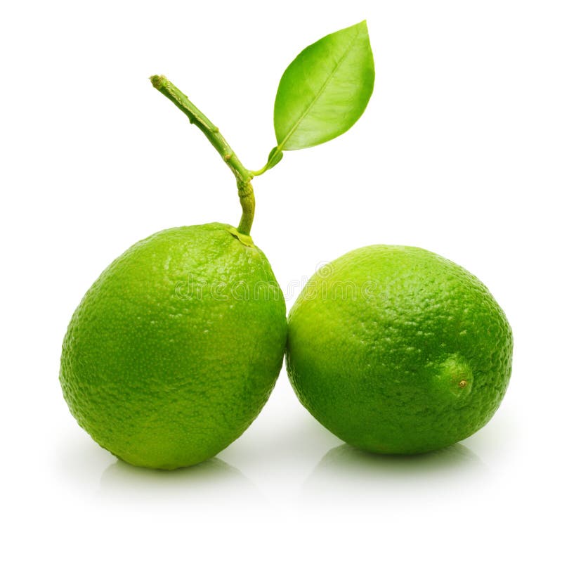 Green Lime with Leaf Isolated Stock Photo - Image of cook, fruit: 74051290