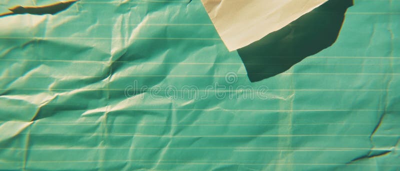 Green Lined Paper Backdrop with Lighter Lines and Fresh Banner for ...