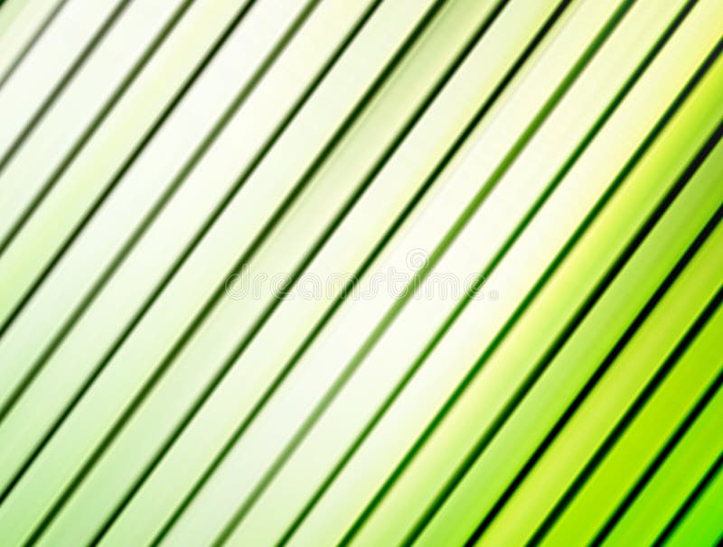 Green Lines Picture. Image: 8737410