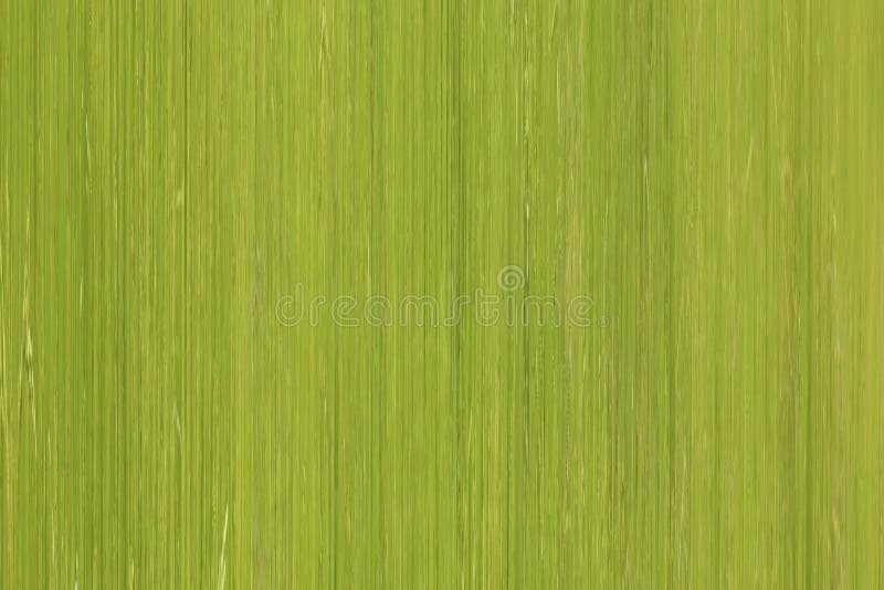 Green Lines Pattern Abstract Background Stock Image - Image of graphic ...