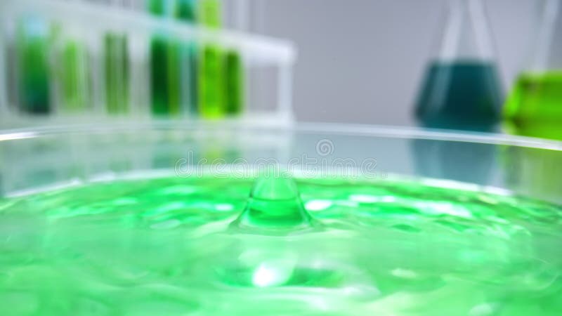 Green Liquid Drop Splash in Petri Dish in Laboratory Stock Video ...