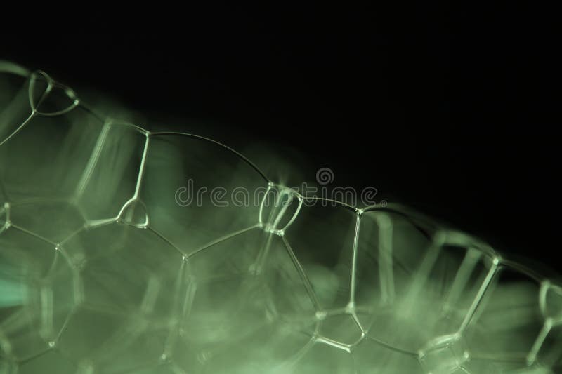 Phenomenal Physical Structure Stock Photos - Free & Royalty-Free Stock ...