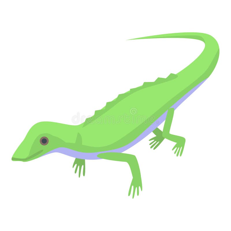 Skink Lizard Stock Illustrations – 71 Skink Lizard Stock Illustrations ...