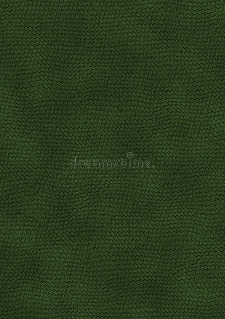 Lizard Skin Stock Illustrations – 25,964 Lizard Skin Stock ...