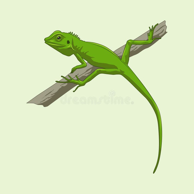 Green Lizard Vector Illustration Green Lizard in the Rainforest Stock ...