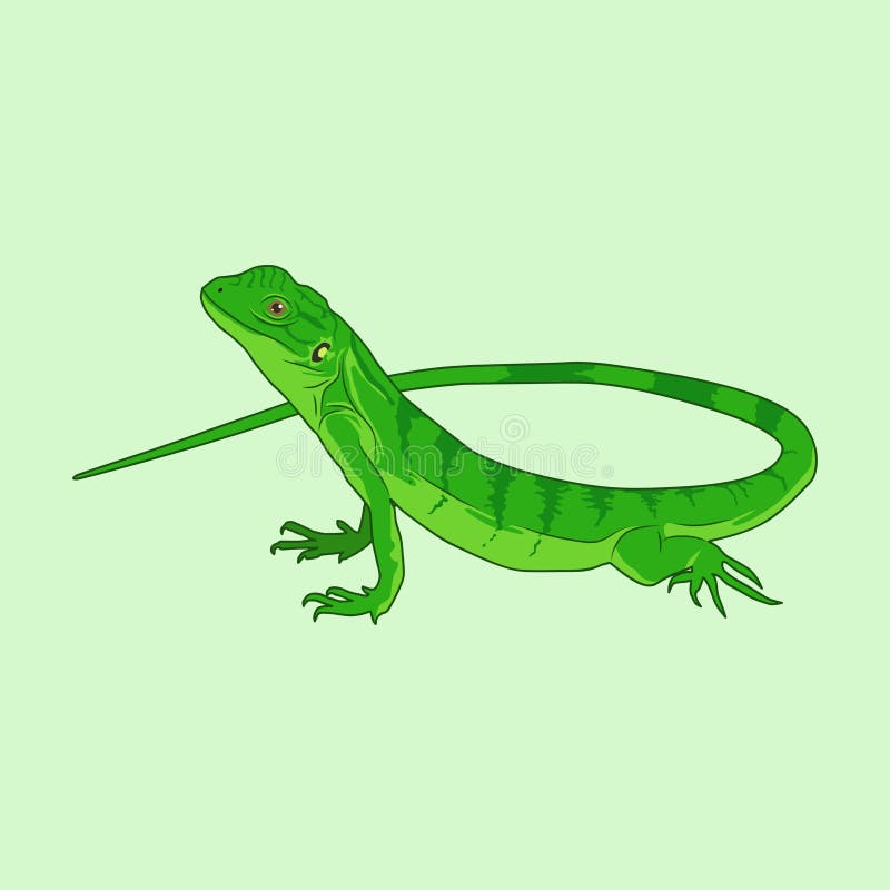 Green Lizard Vector Illustration Green Lizard in the Rainforest Stock ...