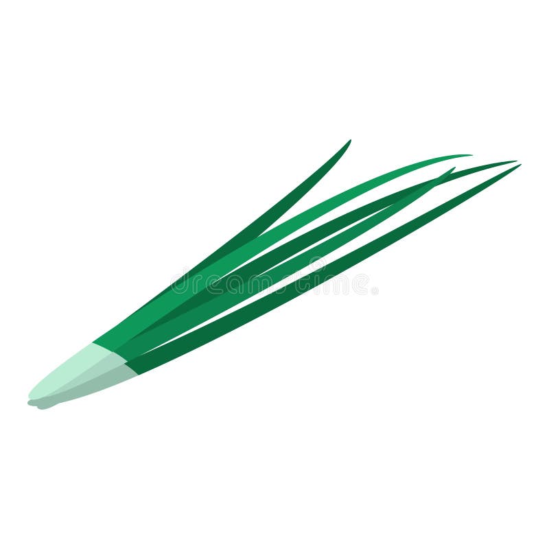 Green Long Onion Icon, Isometric Style Stock Vector - Illustration of ...