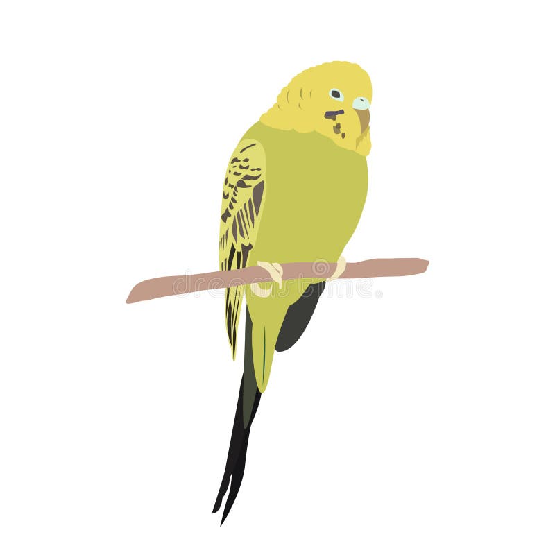 Green Love Bird, Vector Illustration Stock Vector - Illustration of ...