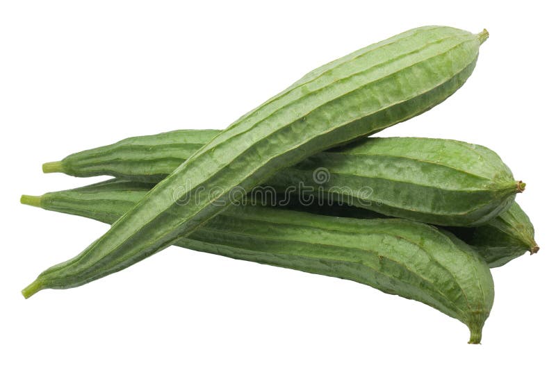 Angled Luffa Isolated on White Background Stock Photo - Image of ...