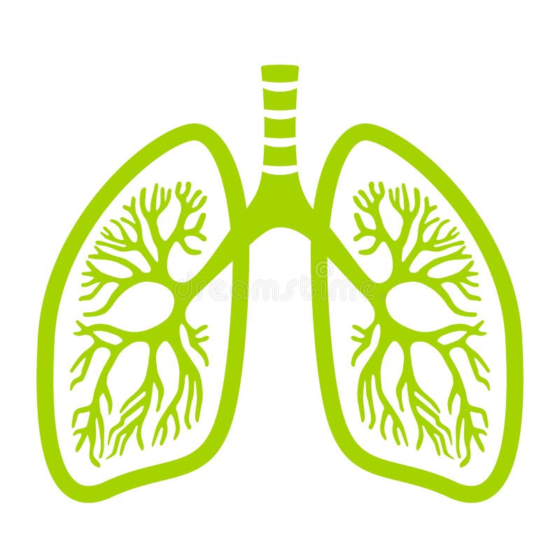 The green lungs stock illustration. Illustration of anatomy - 39297945