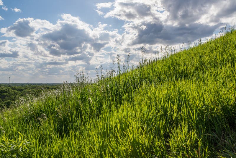 Green lush grass stock photo. Image of hill, ecology - 99705282