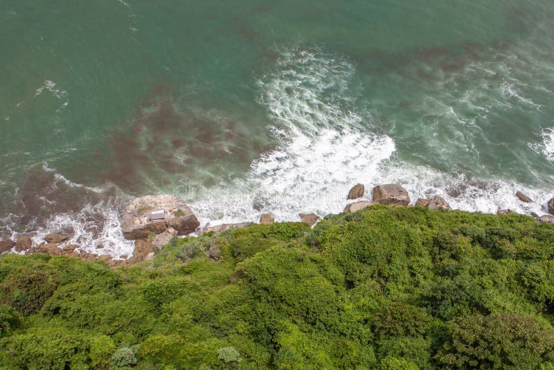 Green Lush and Sea at Java Coast in. Stock Image - Image of tree ...