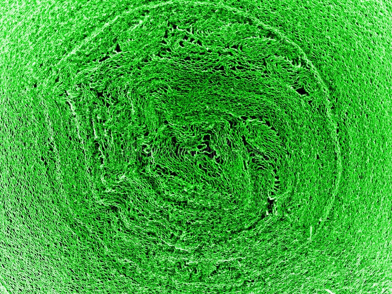 World Texture. Realistic and Detailed World Texture Stock Illustration ...