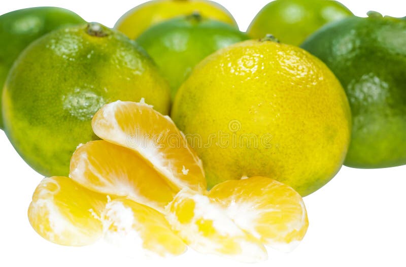 Green mandarin stock photo. Image of tropical, food, vitamin - 44852322