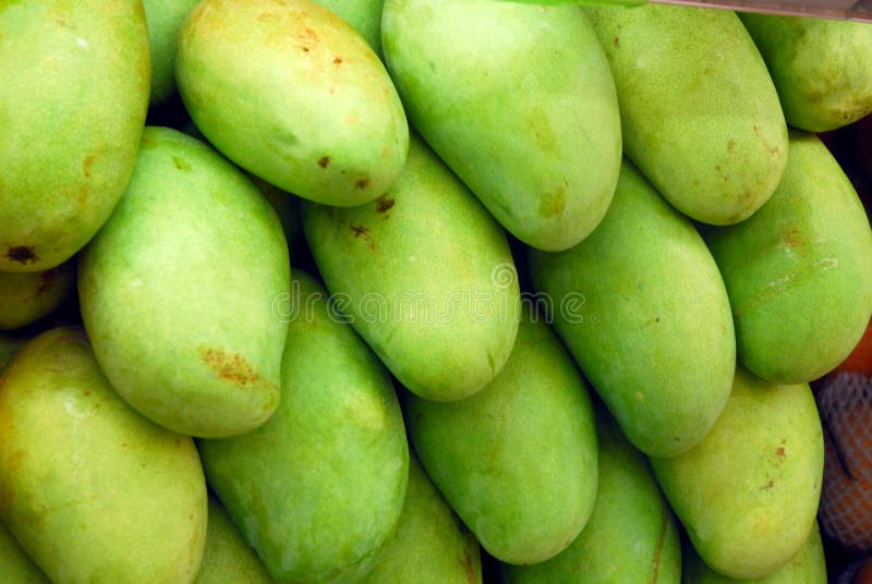 Green mango fruit stock photo. Image of fruit, details - 27522372
