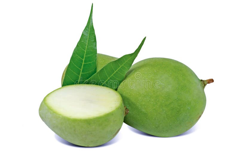Green Mango Fruit Cut Out on White Stock Photo - Image of food, fruit ...