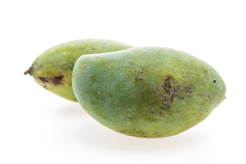 Green mango fruit stock image. Image of snack, healthy - 72232559
