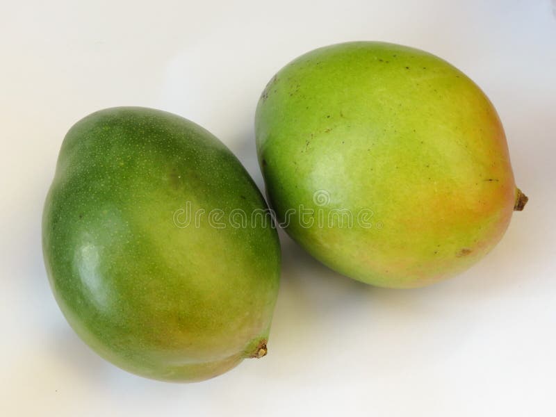 Green mango fruit stock photo. Image of dieting, healthy - 88729980