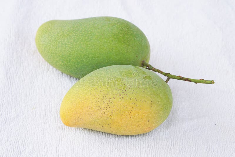 393 Mango Structure Stock Photos - Free & Royalty-Free Stock Photos ...