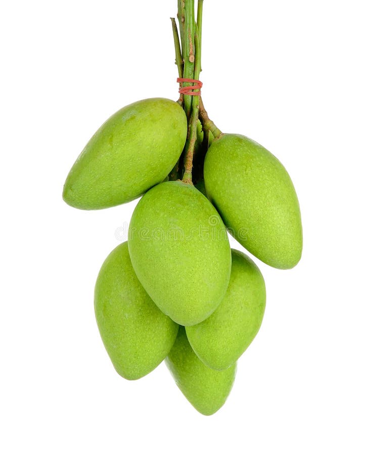 Green Mango Isolated on a White Background Stock Photo - Image of juicy ...