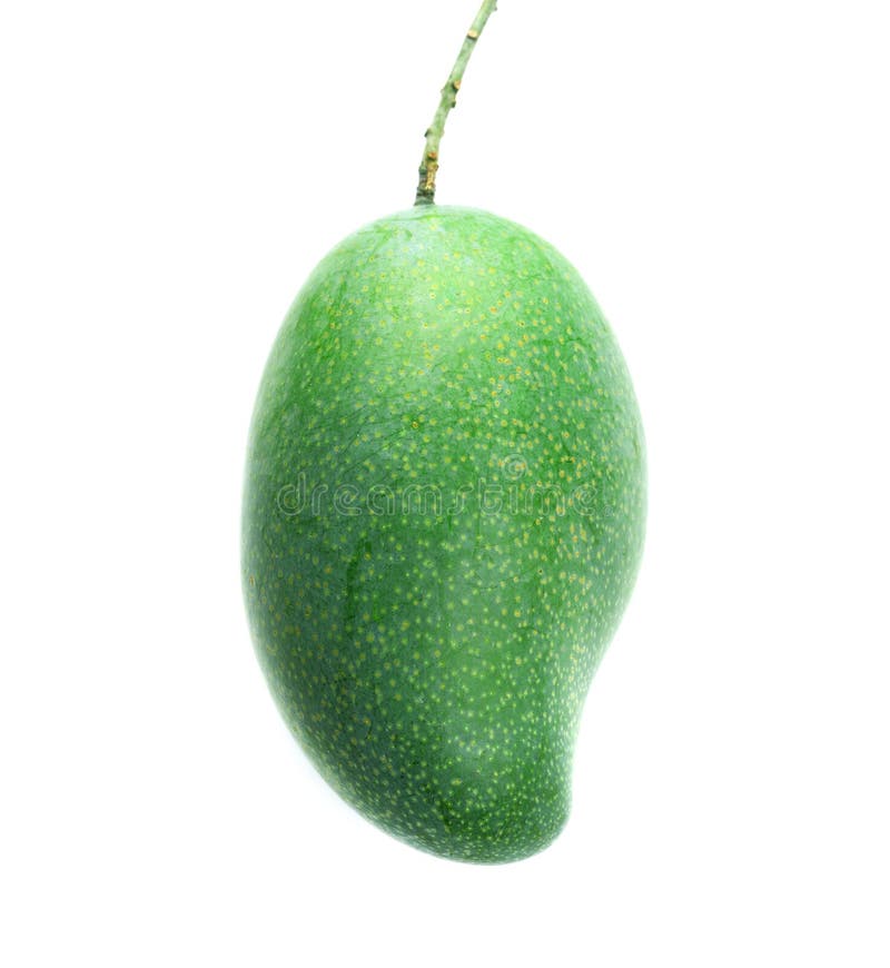Green Mango Isolated on a White Background Stock Image - Image of ...