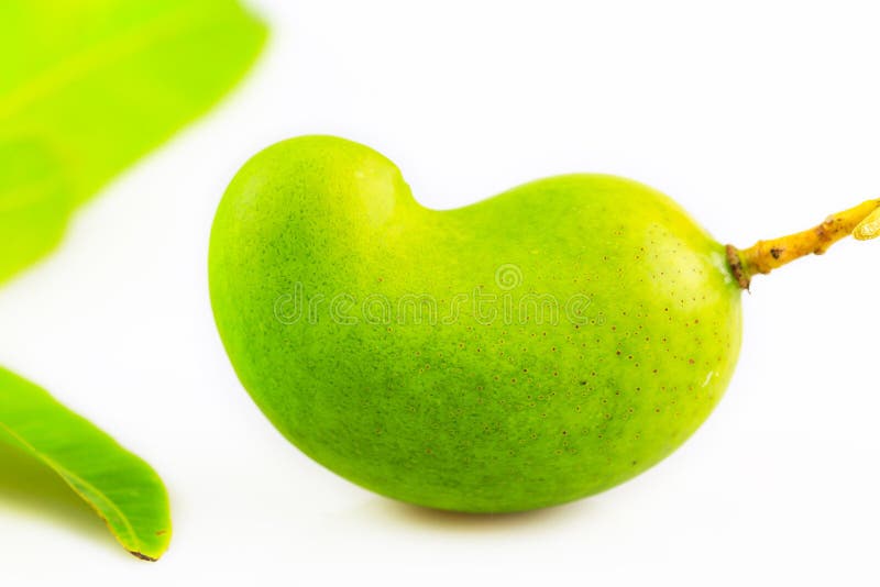 Green Mango Isolated on White Background, Popular or International ...