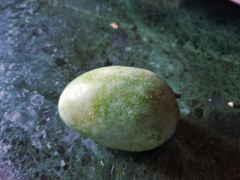 Green Mango | Mango stock image. Image of leaf, fruit - 389532455