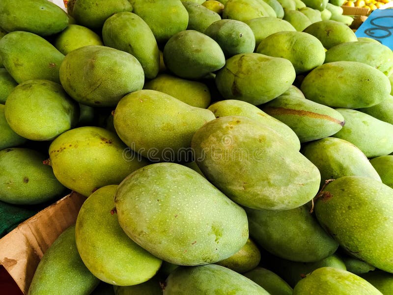 Green Mango stock image. Image of vitamin, ingredient - 334912649