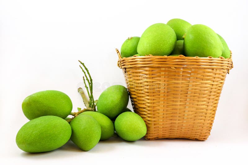 Green Mangoes in the Basket Stock Image - Image of isolated, fruit ...
