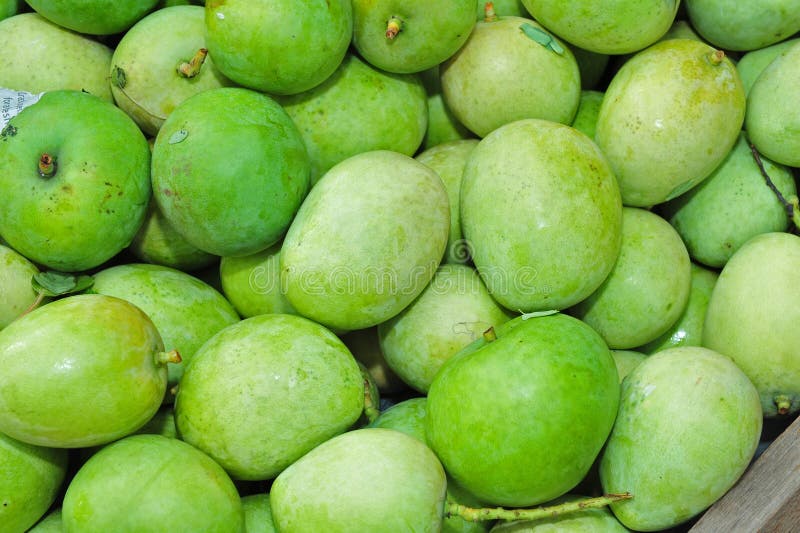 Green Mangoes in the Market Stock Image - Image of tropical, nature ...