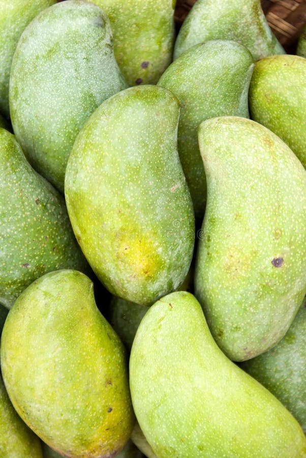 Green mangos stock image. Image of stack, summer, nature - 4465627