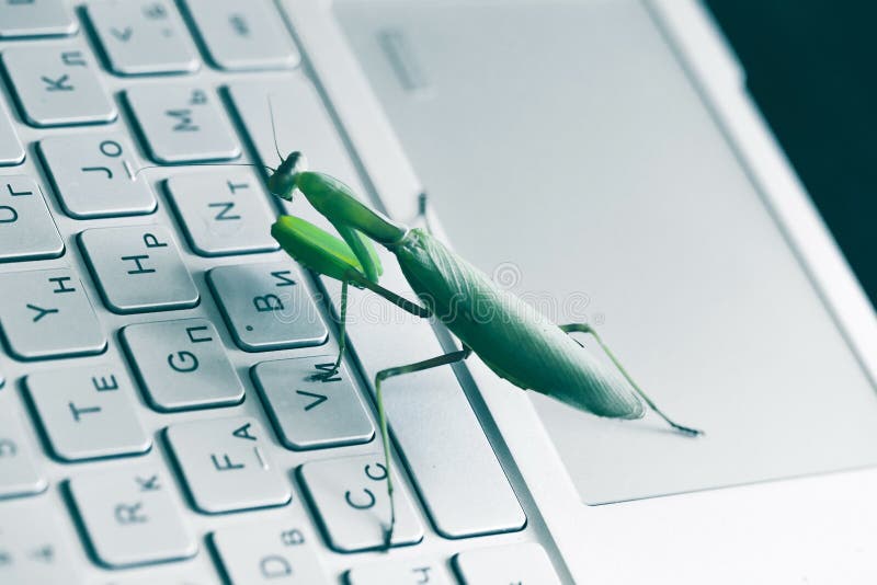 742 Pc Bug Stock Photos - Free & Royalty-Free Stock Photos from Dreamstime