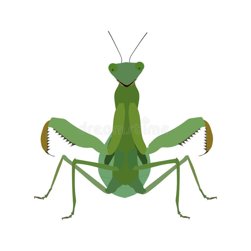 Fantasy Mantis Stock Illustrations – 57 Fantasy Mantis Stock ...