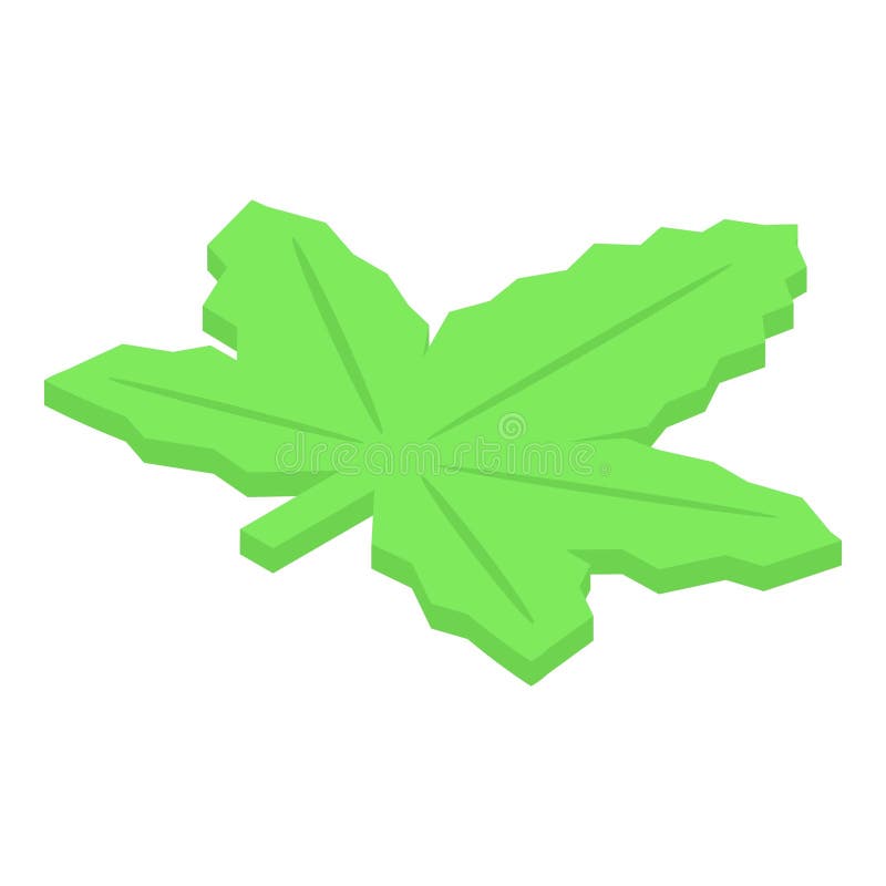 Green Maple Leaf Rotating in Isometric View, Showing Its Complex ...