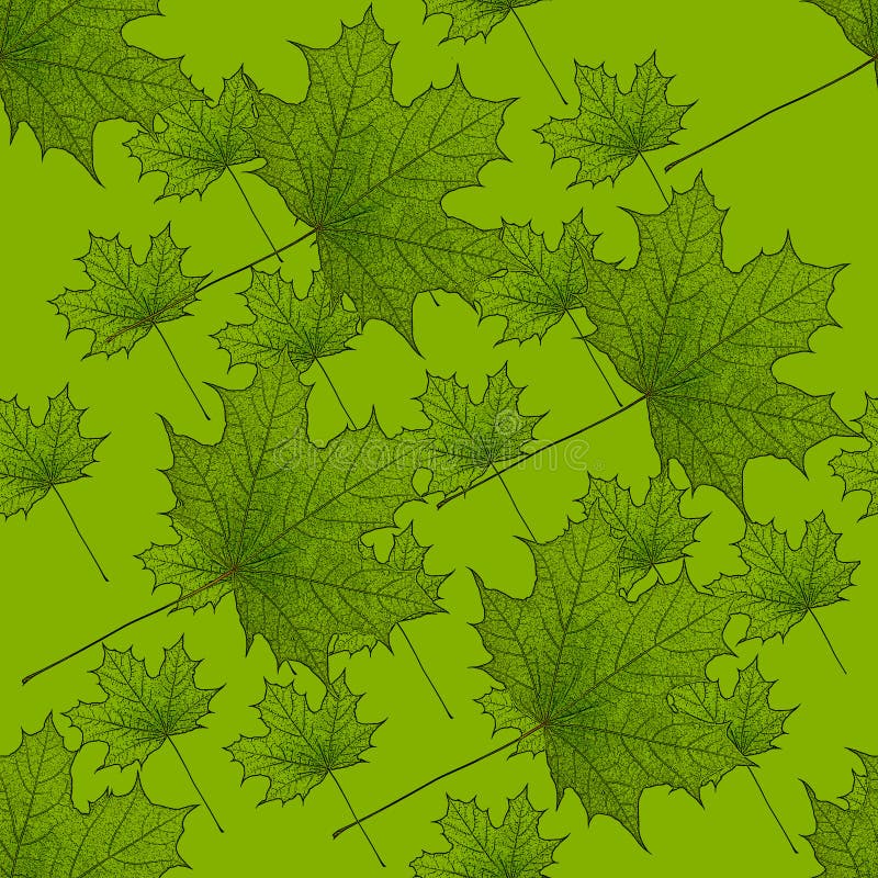 Green Maple Leaves Seamless Pattern Stock Photo - Image of design ...