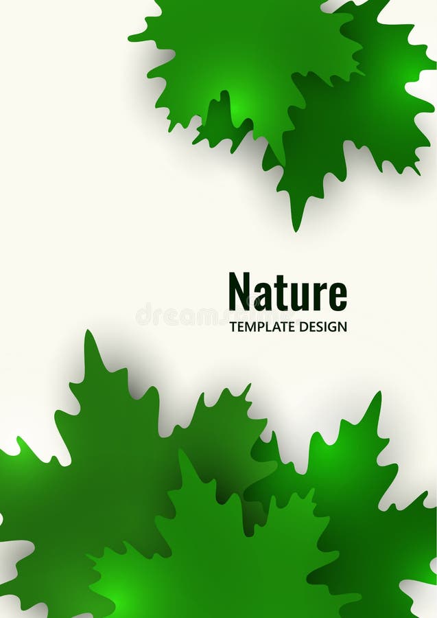 Green Maple Leaves on a White Background. Summer Creative Design Stock ...
