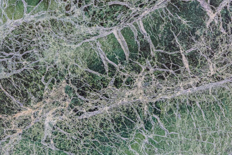 Green Marble Tiles, Green Marble Leaf with White Veins. Close-up Stock ...