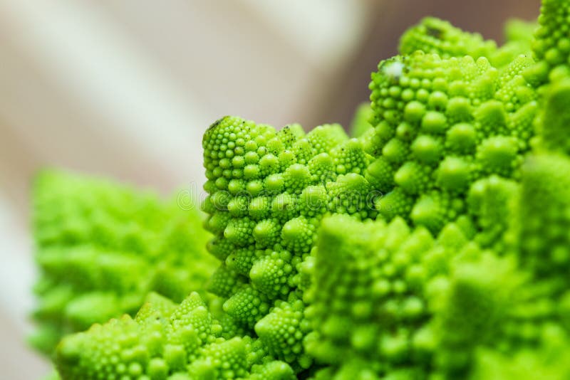 Green Marco Close Up Shot of a Broccoli Cabbage Texture Stock Image ...