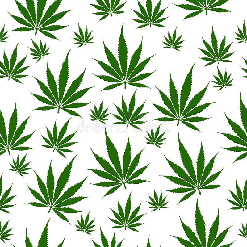 Green Marijuana Leaf Seamless and Repeat Pattern Background Stock Photo ...