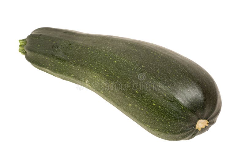 Green Marrow Isolated on White Stock Photo - Image of marrow, child ...
