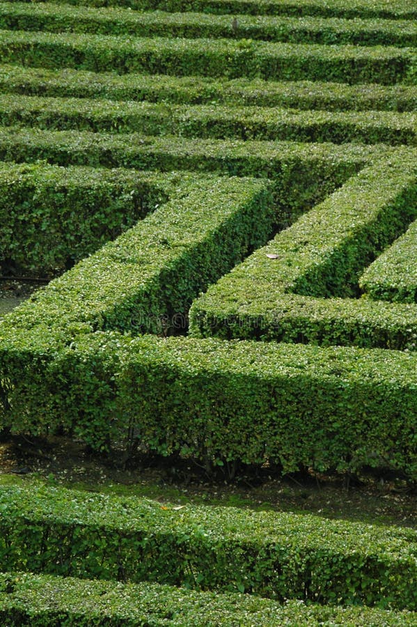Green maze stock photo. Image of maze, bushes, forever - 7841212