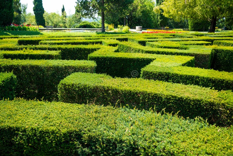Green maze stock photo. Image of maze, bushes, forever - 7841212